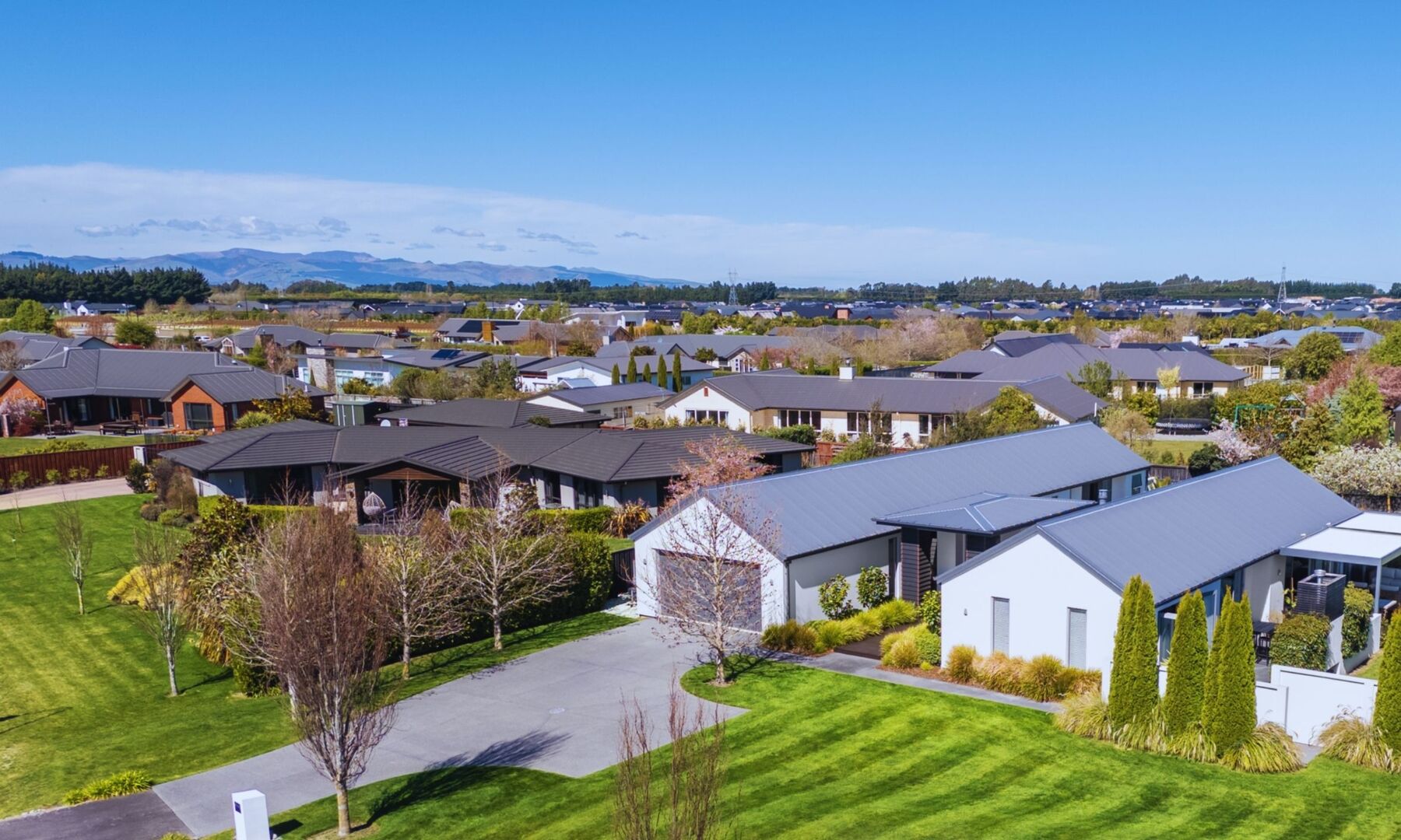 New Zealand Real Estate Insights
